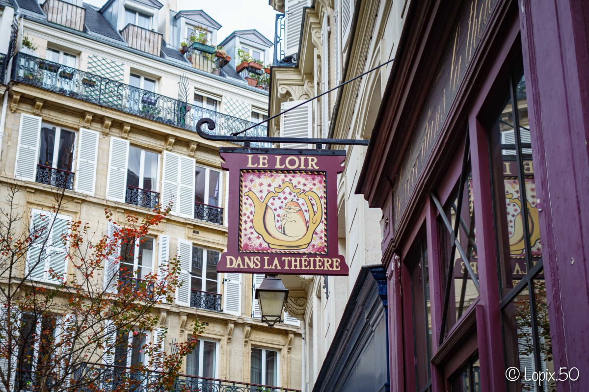 Le Loir Dans La Thire Photos